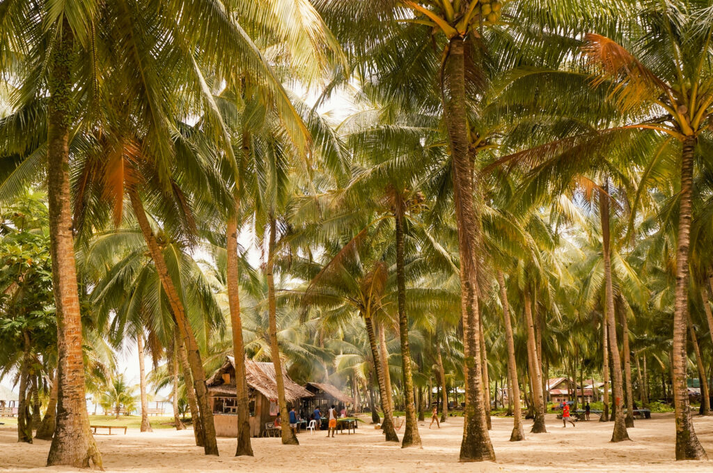 Discovering Daku Island: Sun, Sand & Siargao Vibes - LifexTravel